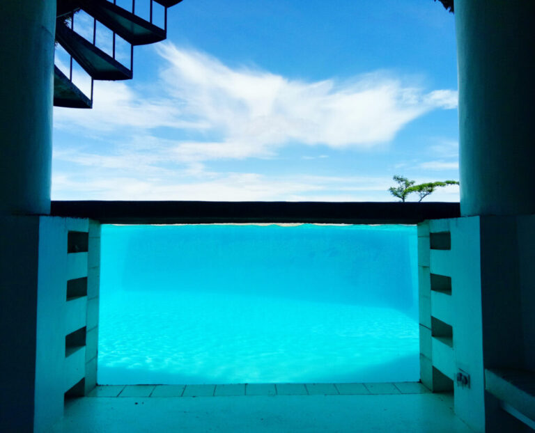 40 Sublime Swimming Pool Designs for the Ultimate Staycation