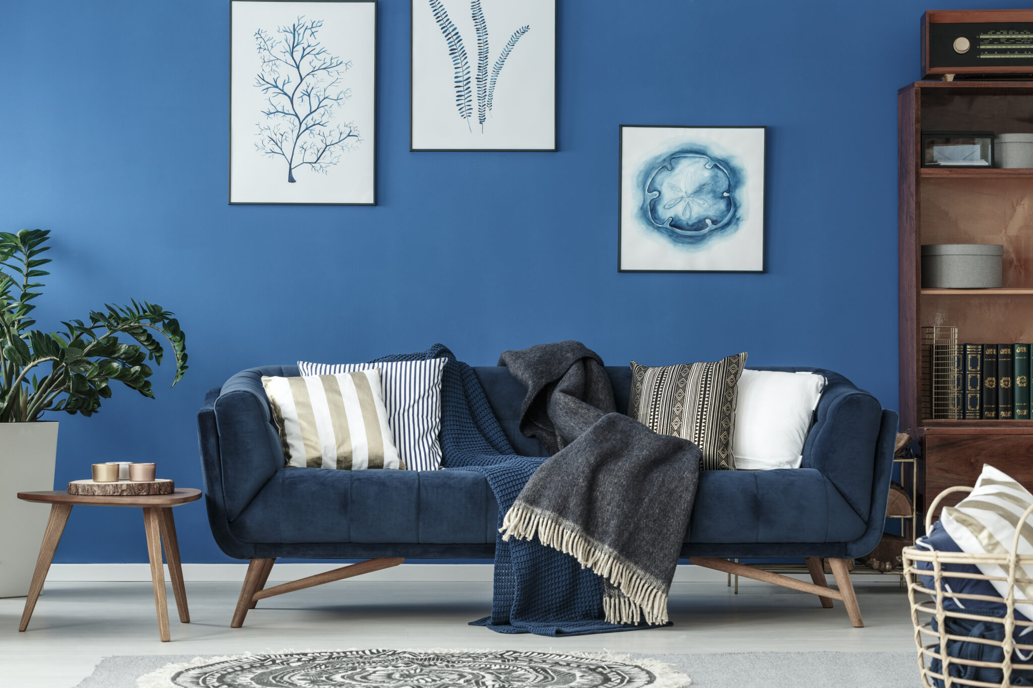 Here Are Your Feng Shui Lucky Colors For 2019 According To Your Chinese ...