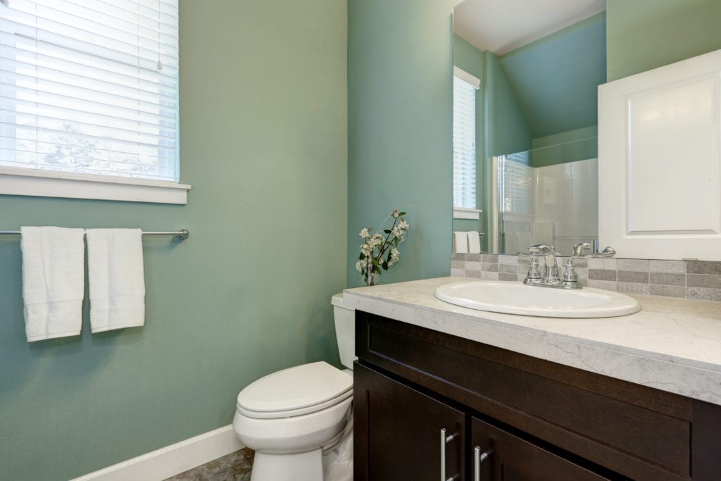 20 Beautiful Bathroom Paint Colors for Every Style | MYMOVE