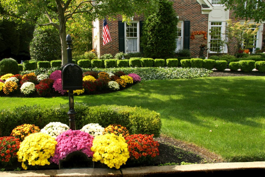 12 Simple Front Yard Landscaping Ideas | MYMOVE