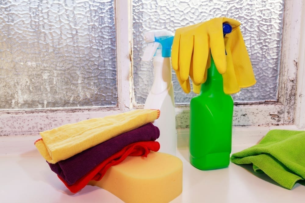 Effective Black Mold Removal Options for Your Home | MYMOVE
