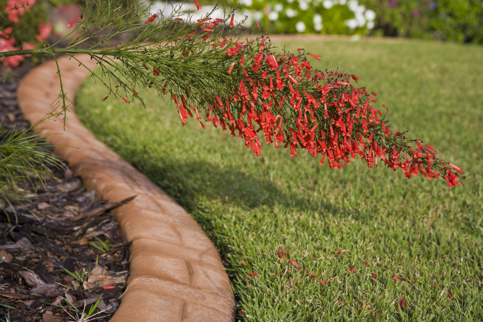 23 Ideas to Perfect Your Landscape Edging | MYMOVE
