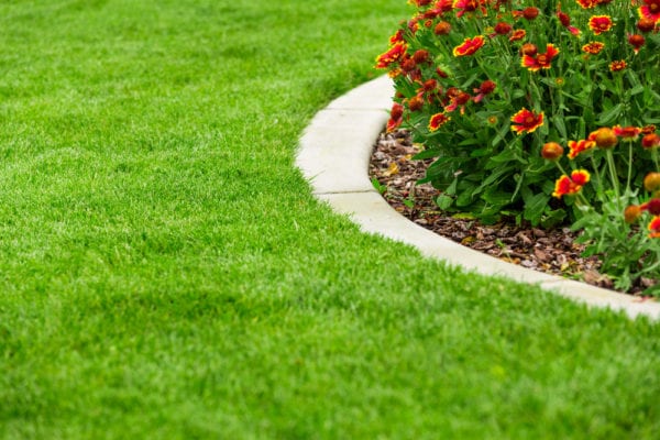 23 Ideas to Perfect Your Landscape Edging | MYMOVE