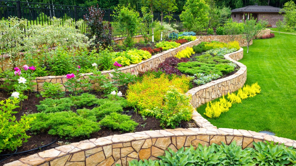 25 Cheap Landscaping Ideas That Fit Your Budget | MYMOVE
