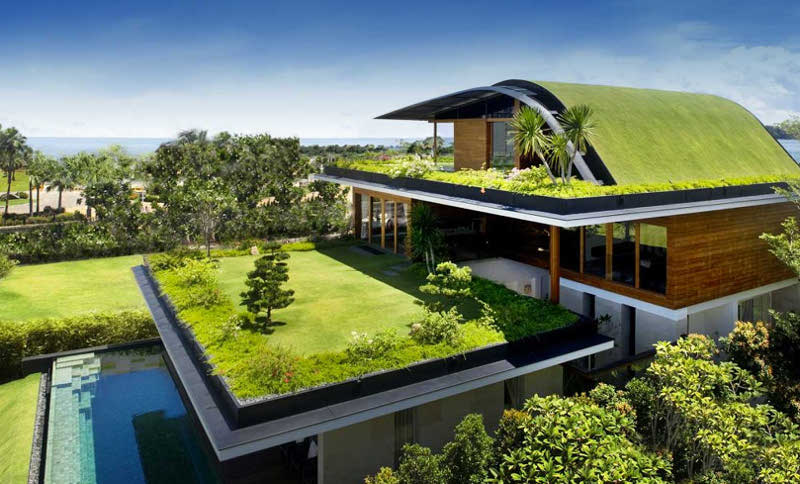 Here's Why You'll Want a Living Green Roof on Your Home